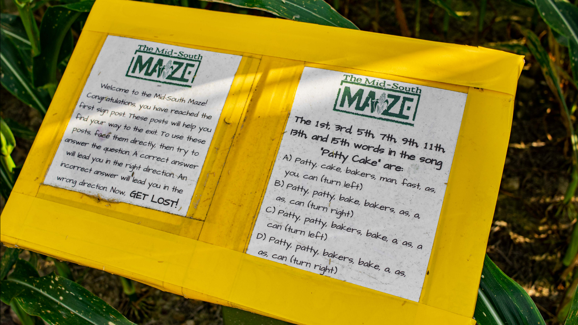 Get Lost corn maze arrives in Memphis just in time for Halloween ...