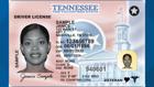 New Tennessee driver licenses and IDs | localmemphis.com