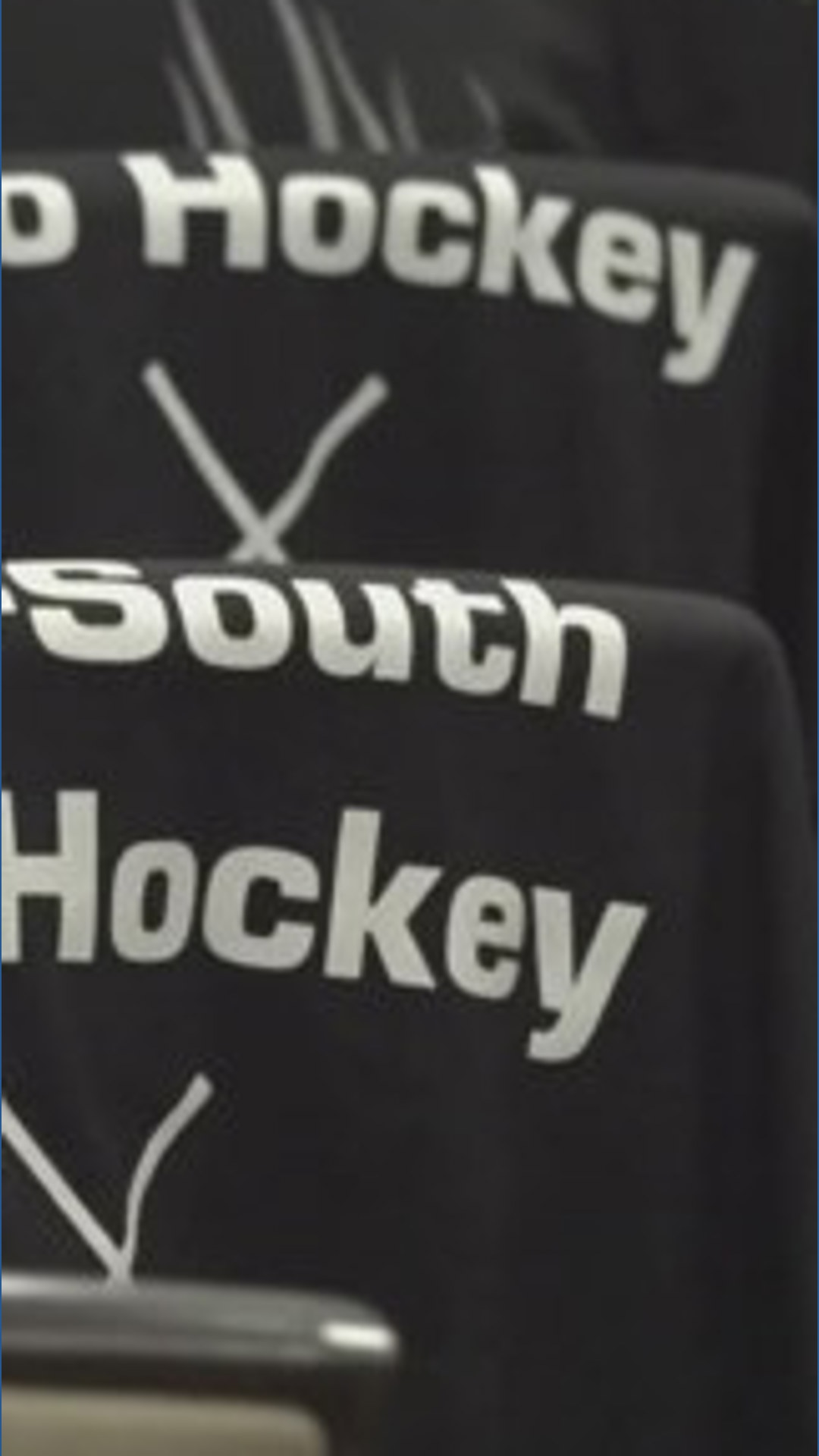 Professional hockey returns to the Mid-South with a new Southaven team ...
