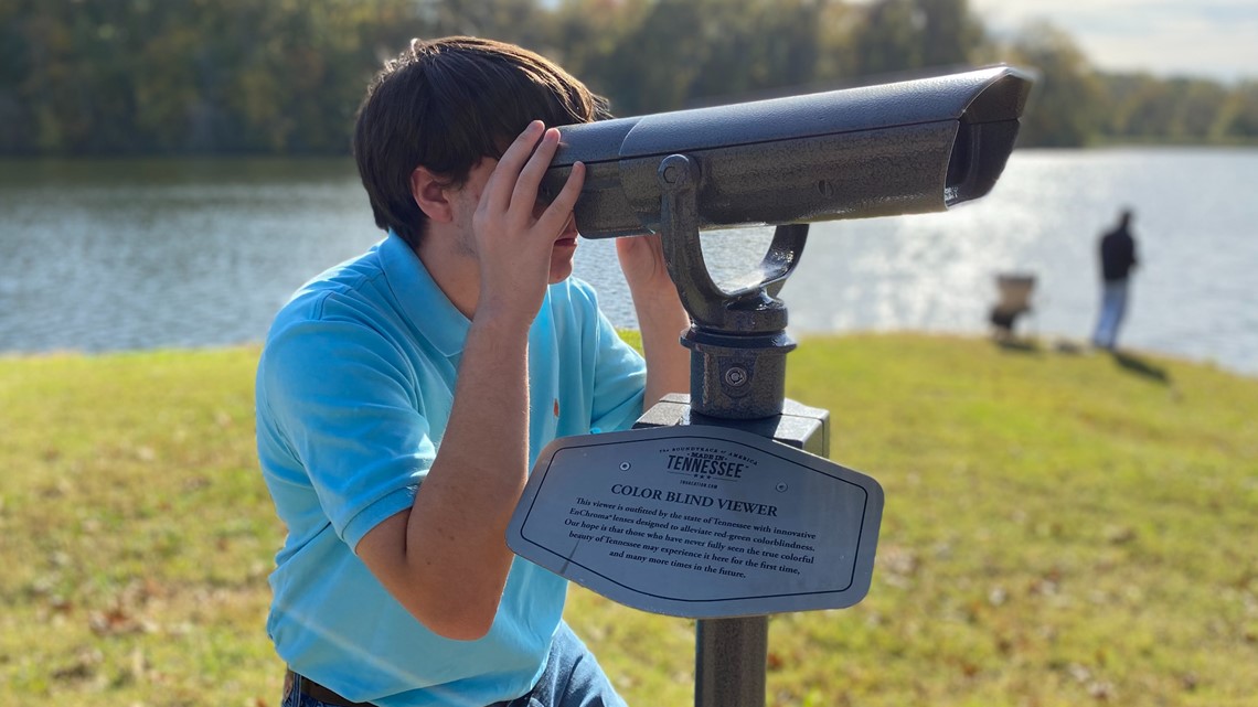 Shelby Forest offers a color blind viewer | localmemphis.com
