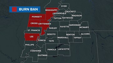 Memphis News & Weather | Memphis, TN | localmemphis.com