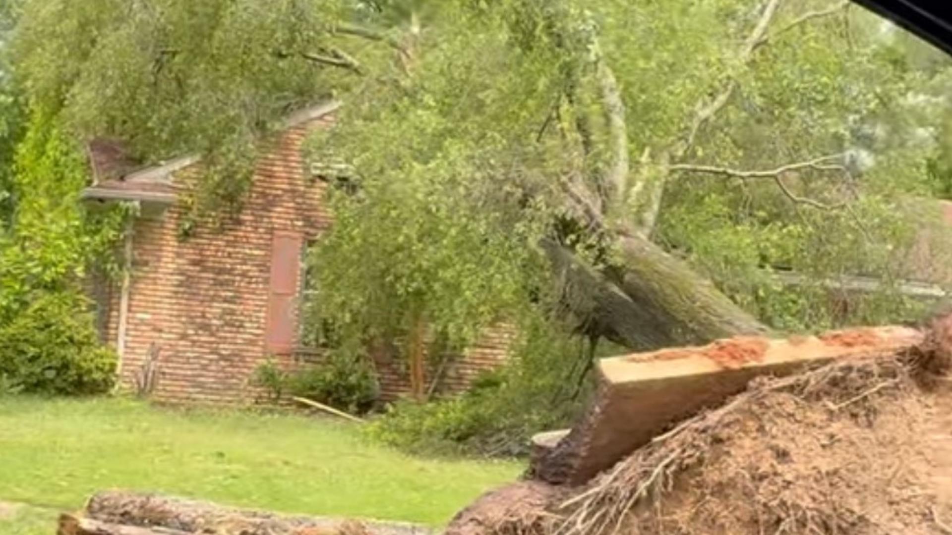 High winds damage trees, homes in the Memphis metro | localmemphis.com