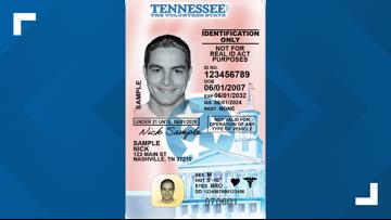 New Tennessee driver licenses and IDs | localmemphis.com