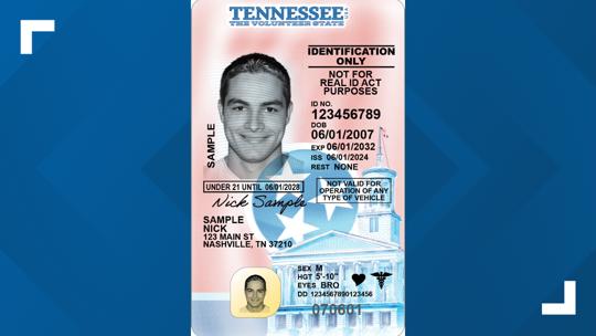 New Tennessee driver licenses and IDs | localmemphis.com