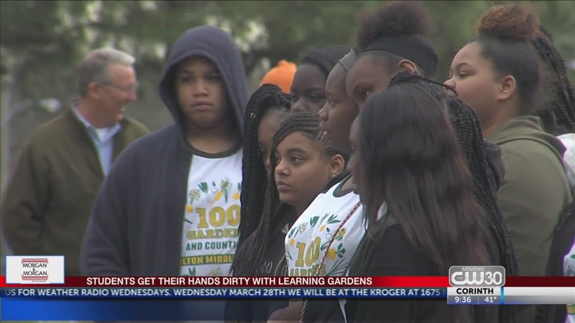Hamilton Middle School Students Plant Seeds Of Learning | localmemphis.com