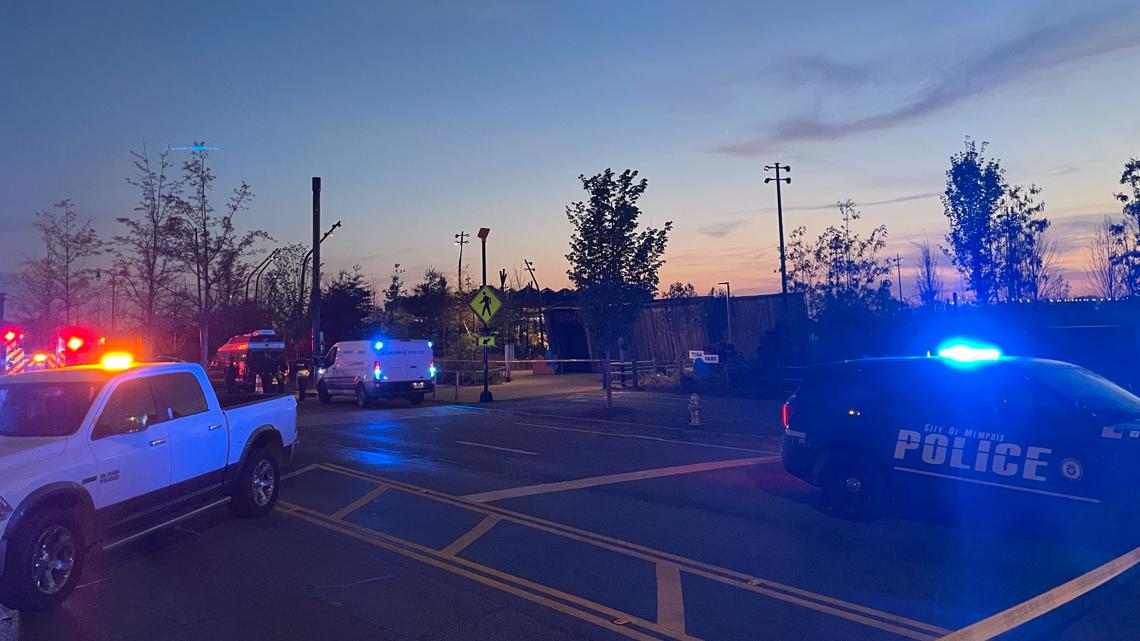 Woman arrested in Tom Lee Park shooting that left teen dead in Memphis ...