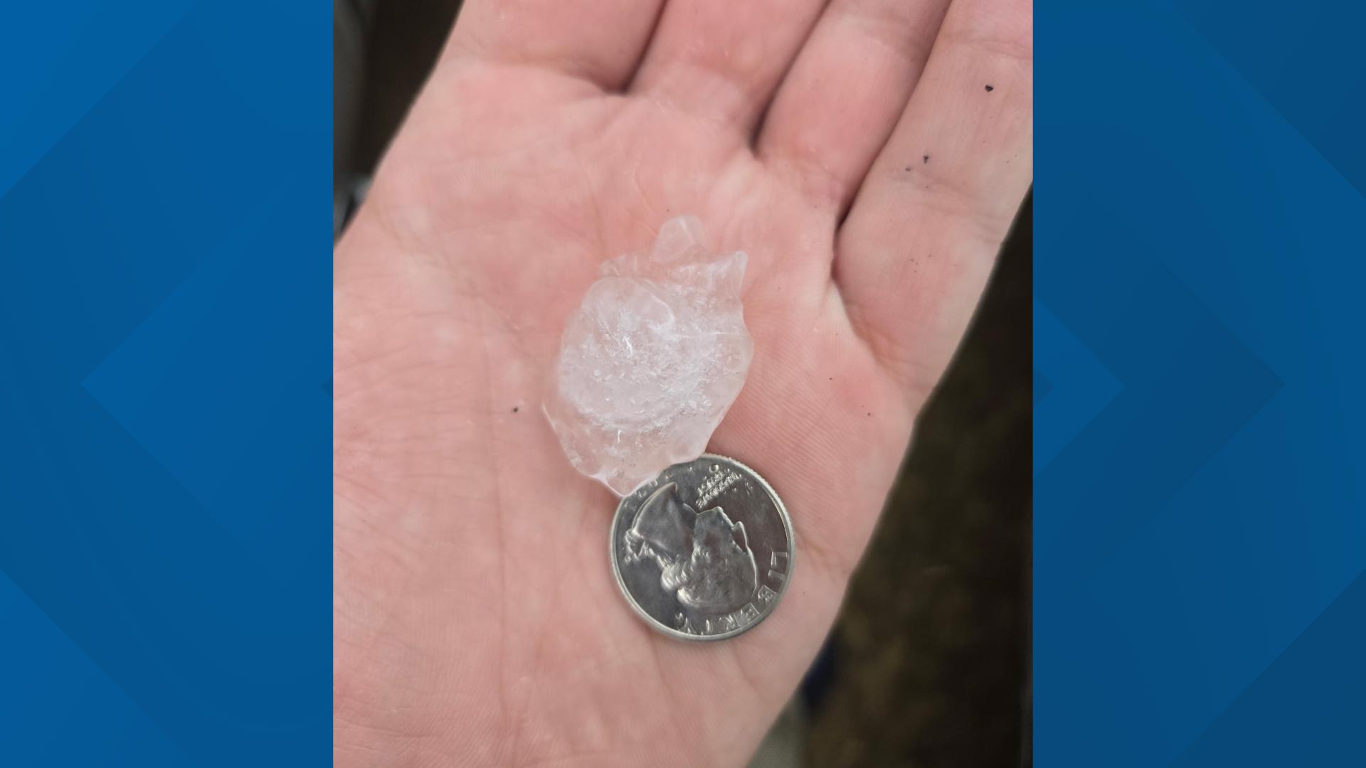 Memphis Local News | Memphis, Tennessee | localmemphis.com