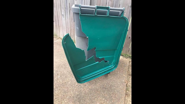 Garbage trucks are blamed for destroying waste & recycling bins ...