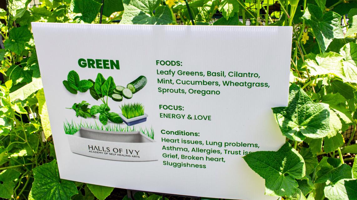 Frayser community leads tour of its neighborhoods | localmemphis.com