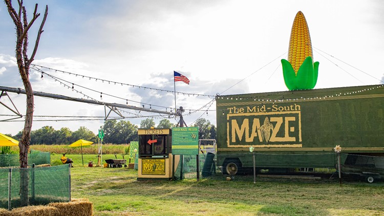 Get Lost corn maze arrives in Memphis just in time for Halloween ...