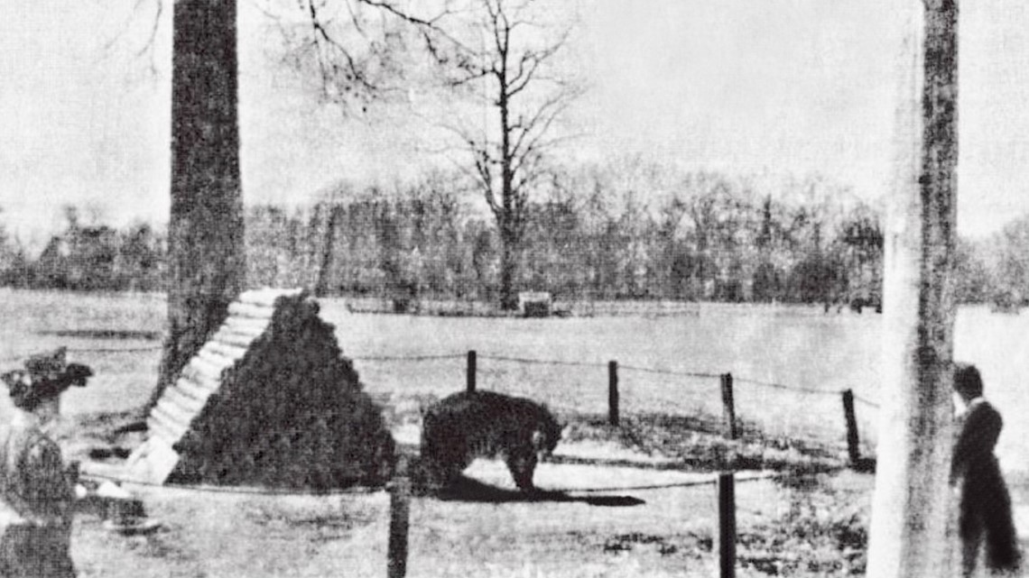 Natch the bear | The first animal at the Memphis Zoo | localmemphis.com