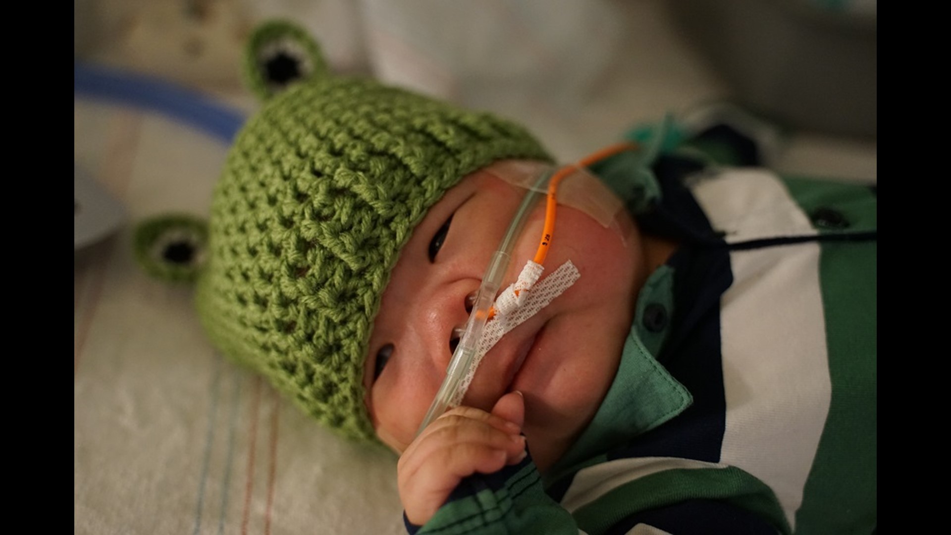 NICU babies dressed as frogs for Leap Day at Regional One Health ...