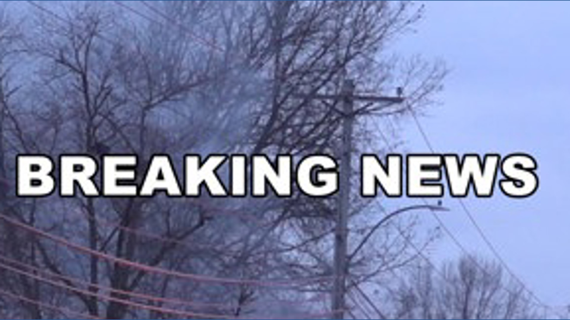 Memphis Fire Department on scene of fire on Camille Way | localmemphis.com