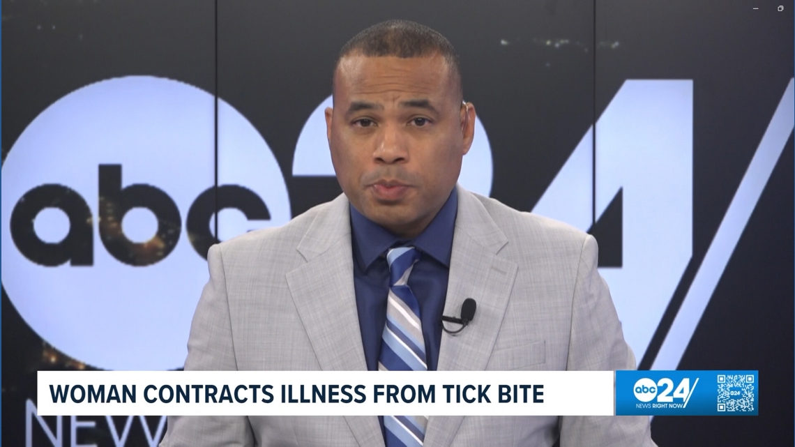 24+ News Update | Woman contracts illness from tick bite | localmemphis.com