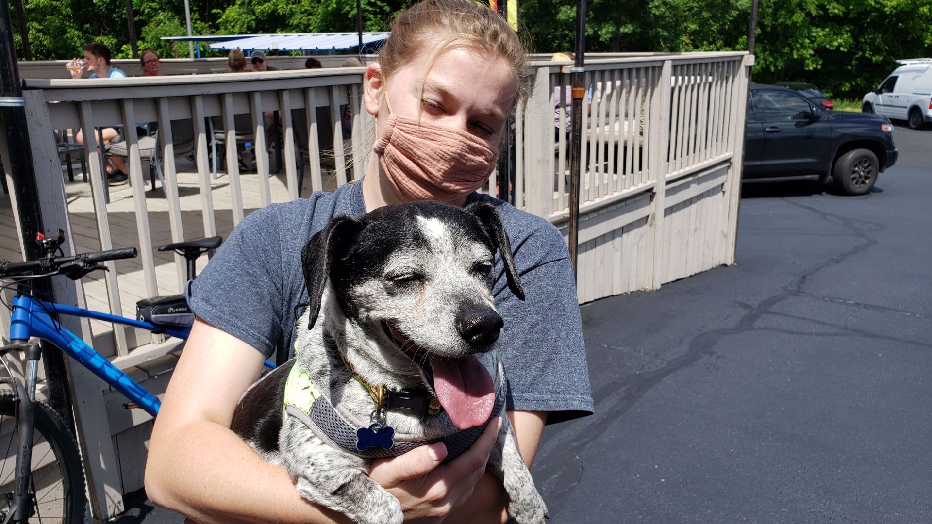 Humane Society of Memphis and Shelby County hosts first in-person ...