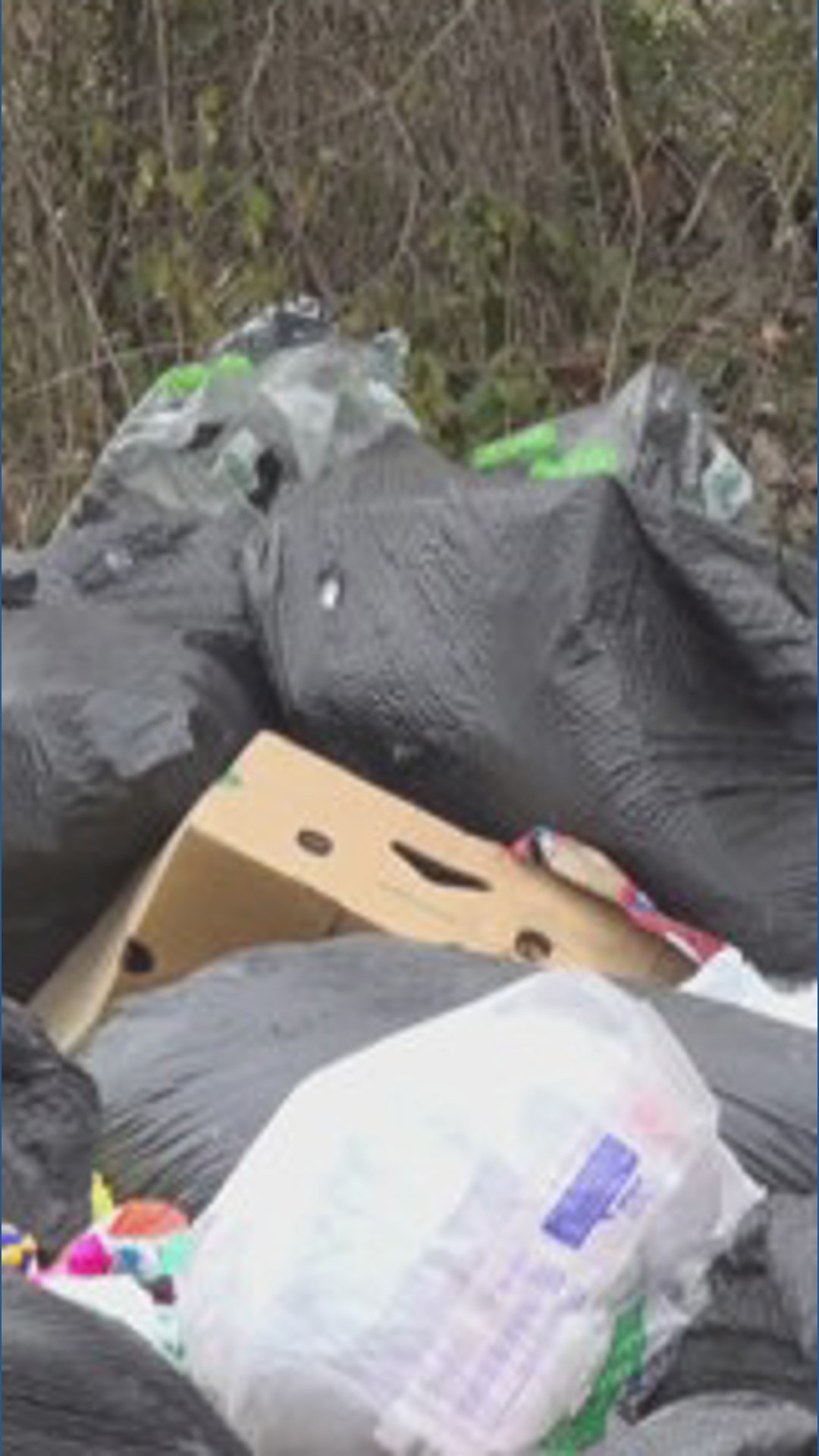Residents of New Chicago say ongoing illegal dumping an issue ...