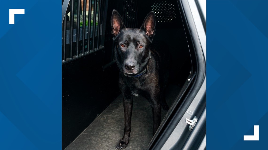 Shelby Co. K9 joins U.S. Marshals Task Force | localmemphis.com