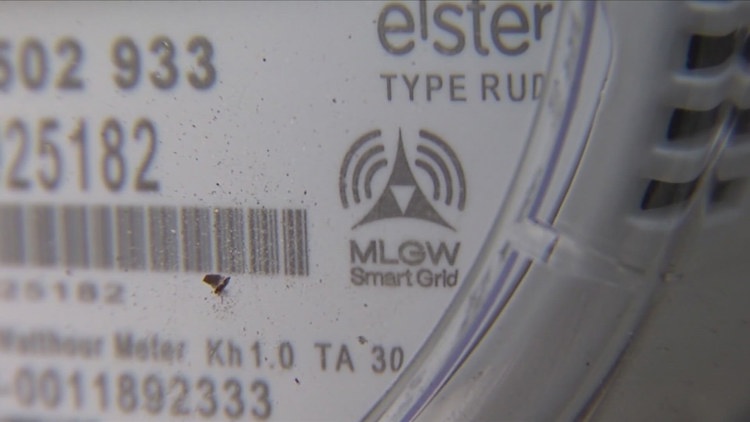 Easy to follow guide on disposing of trash and waste in Memphis ...