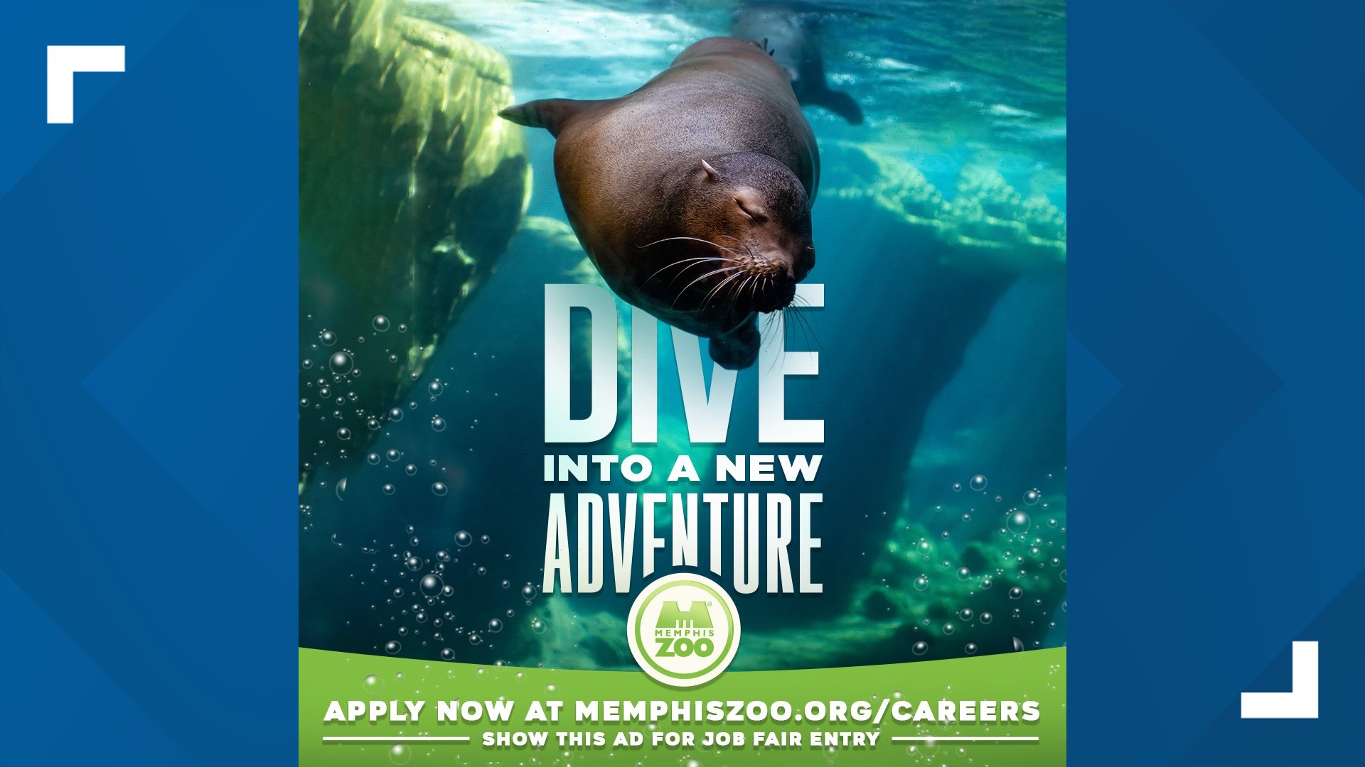 Memphis Zoo hosts job fairs in February | localmemphis.com