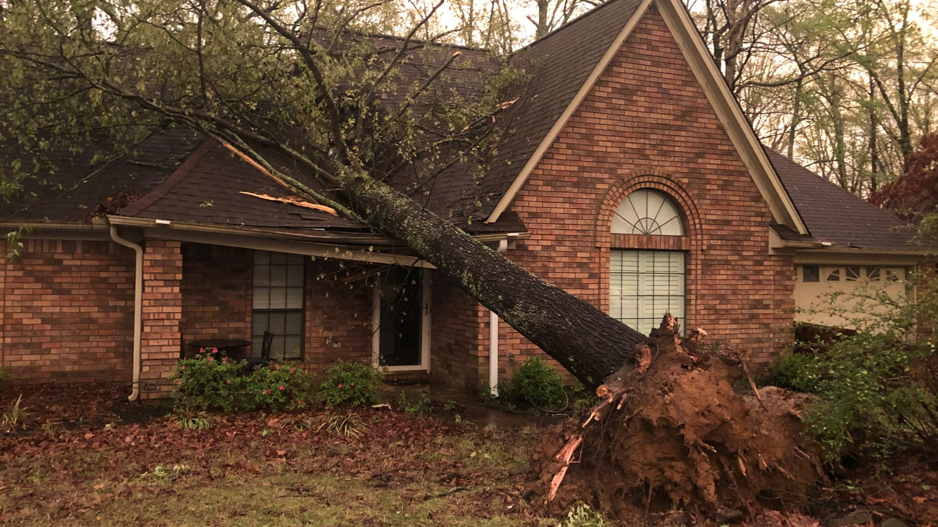 Severe storms cause damage across the Memphis area | localmemphis.com