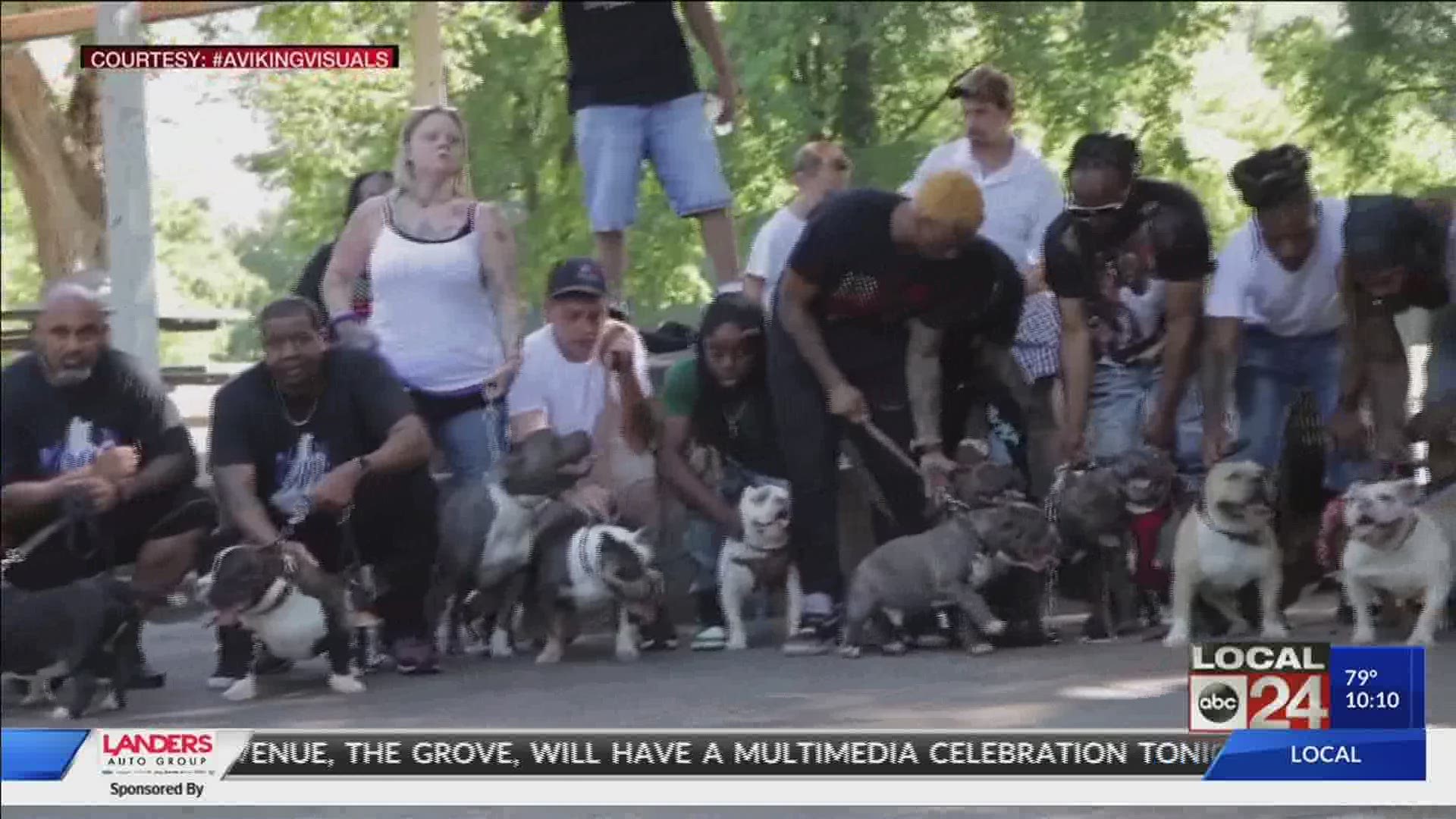 Memphis Bully Mob takes stand against racism | localmemphis.com