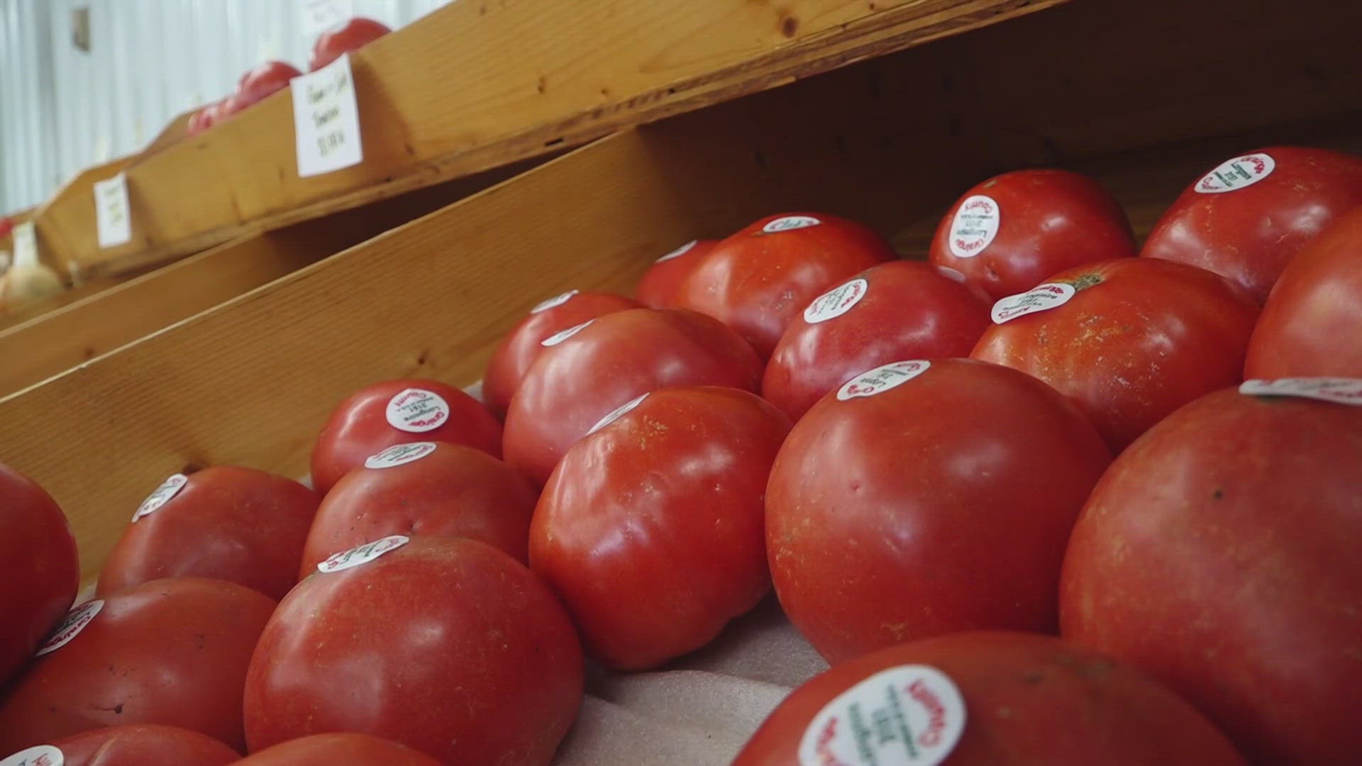 Tennessee tomato growers see minimal, but positive impact from tariff ...