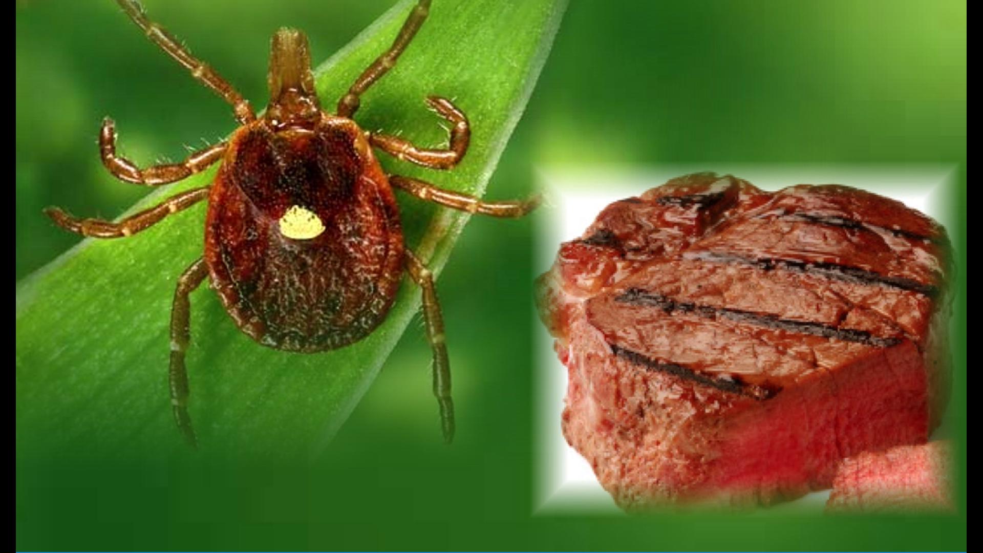 TN House bill would make it mandatory to report alpha-gal syndrome to ...