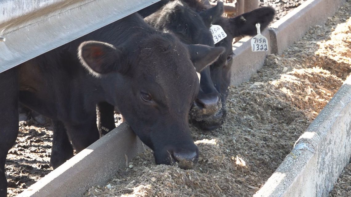 Former Memphis City Councilman Myron Lowery dies | localmemphis.com