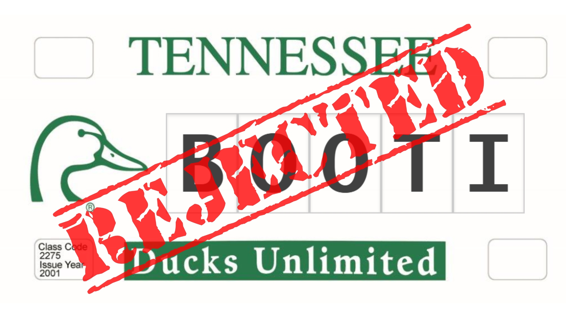 From DINGUS to D011E: Here are the personalized license plates ...