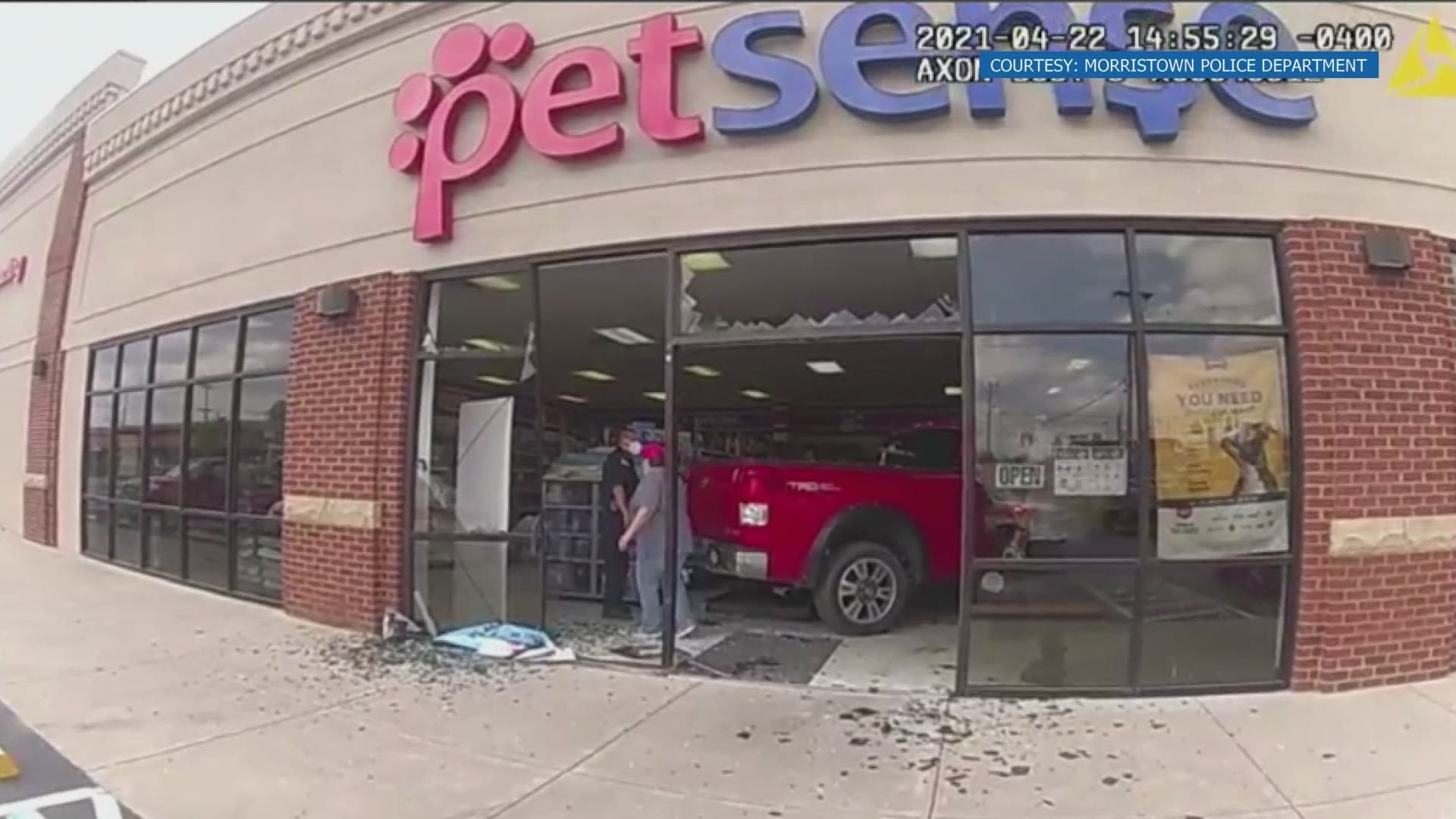Two people hurt after dog hits accelerator, crashing truck into ...