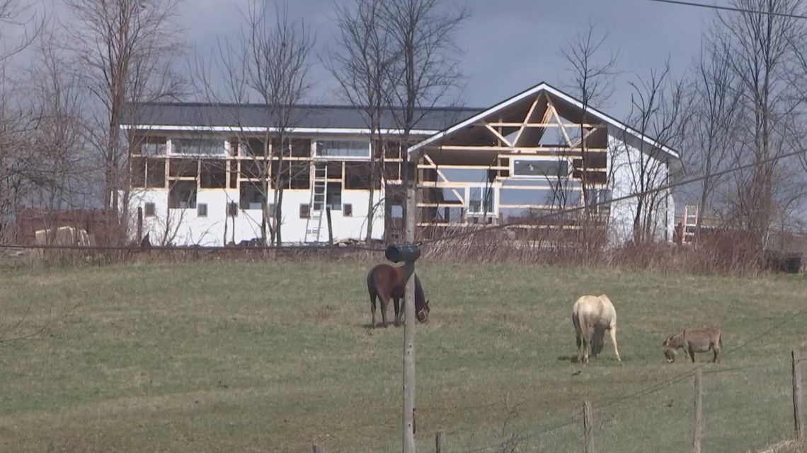 70 dogs dead in Ohio puppy mill fire | 10tv.com