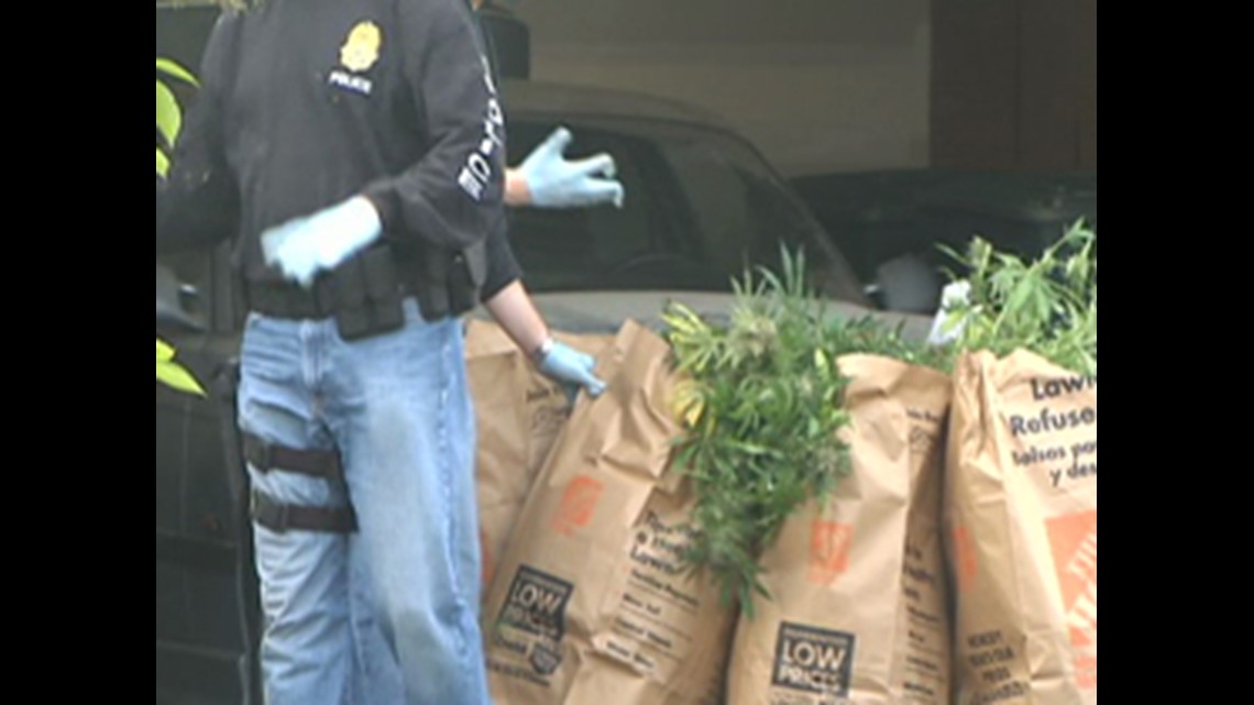 Federal Agents Raid 'Major' Pot Operation In Northeast Columbus | 10tv.com