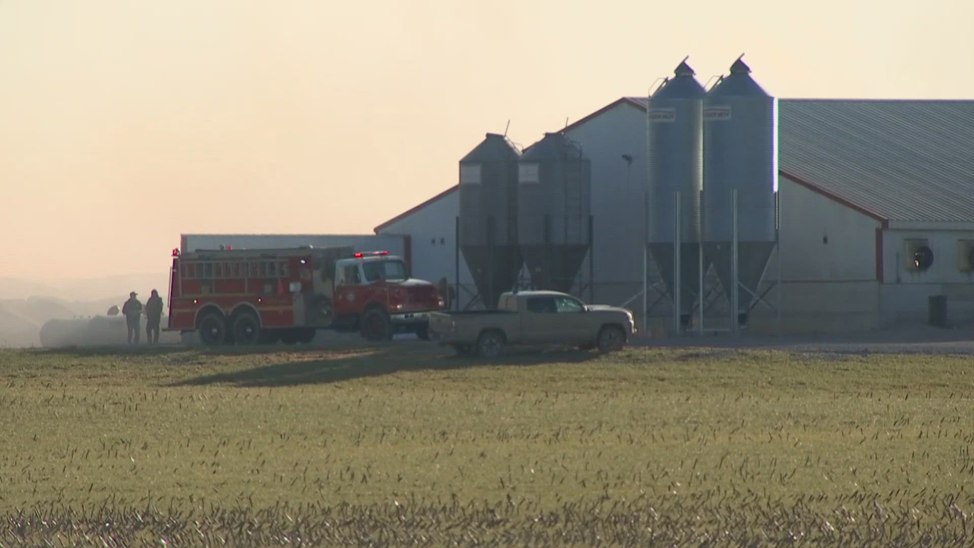 6,000 pigs killed in large Madison County barn fire | 10tv.com