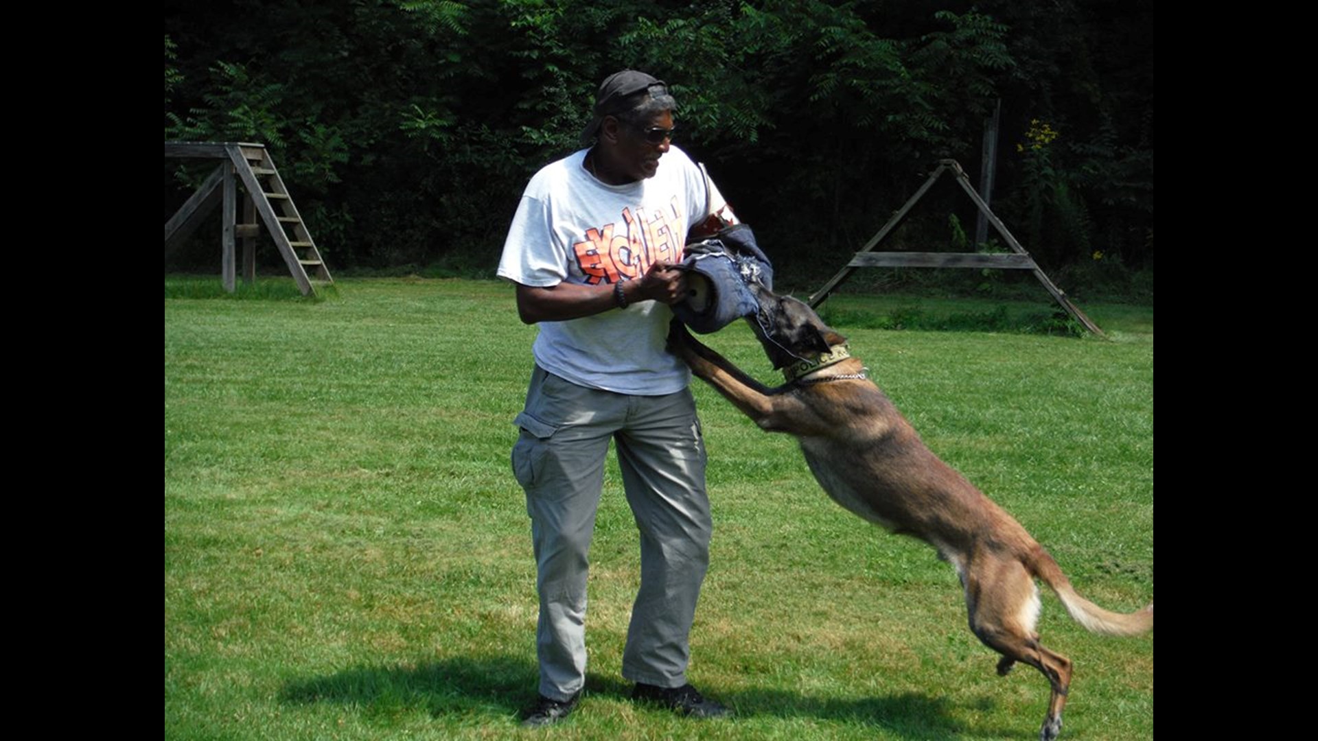 Akron Police Dog Hit By Police Cruiser During Chase | 10tv.com