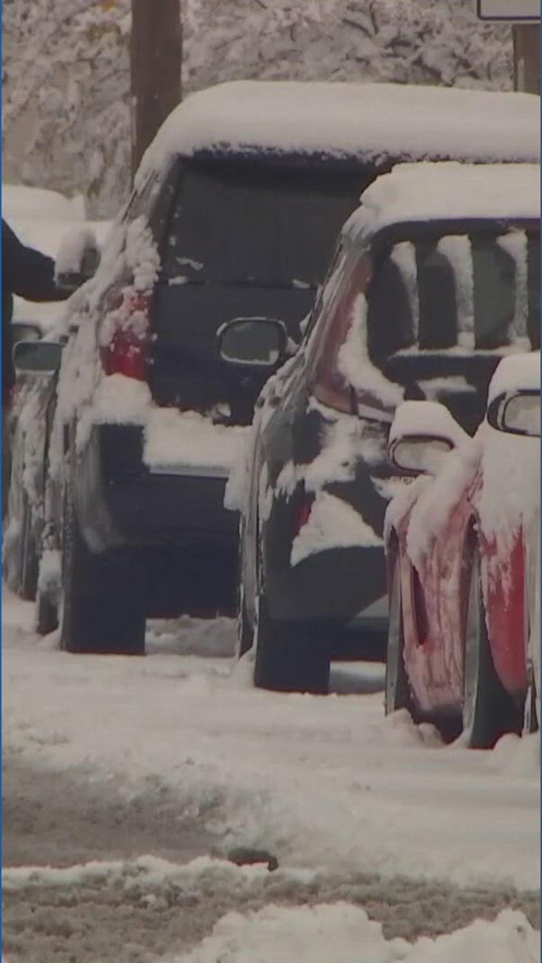 Winter storm safety: Driving expert offers tips for navigating ...
