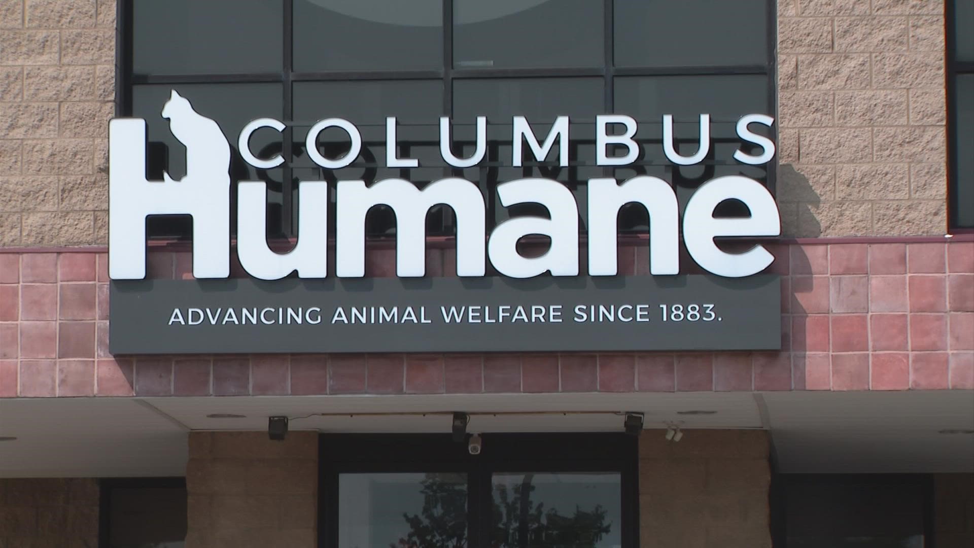 WBNS-10TV partners with Columbus Humane for a 'Day of Giving' | 10tv.com