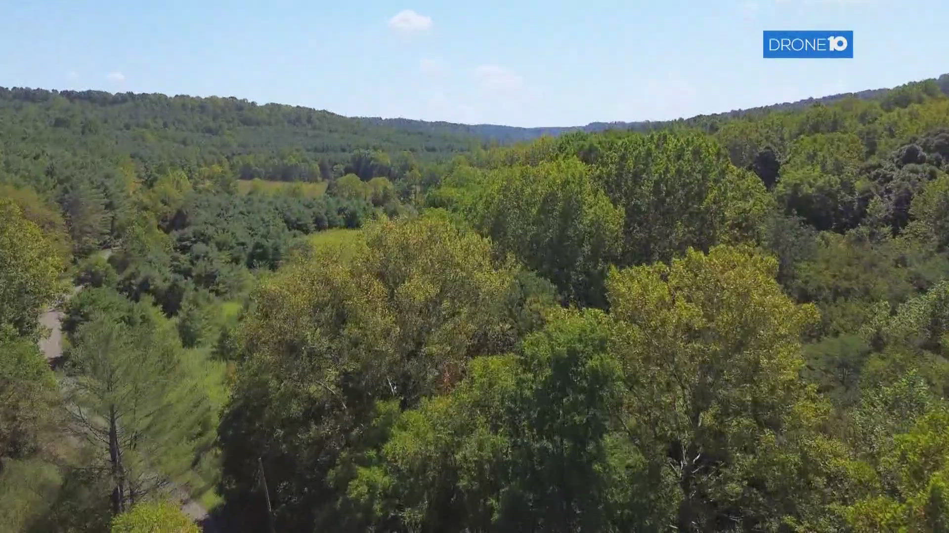 Joy Valley Nature Preserve: A new Ohio landmark protects ancient ...