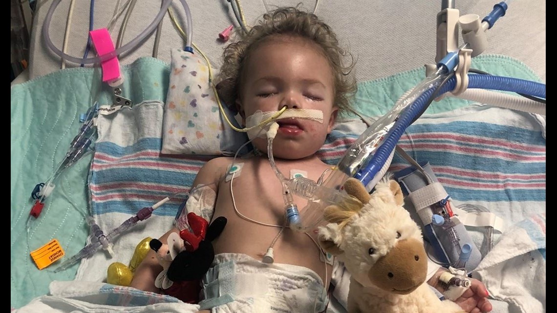 Toddler suddenly becomes paralyzed amid family visit to Florida | 10tv.com