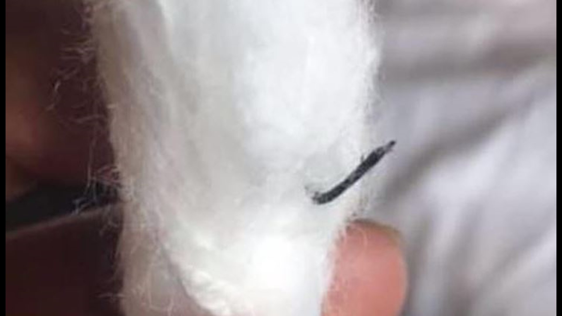 Woman finds sharp metal hook inside tampon | 10tv.com