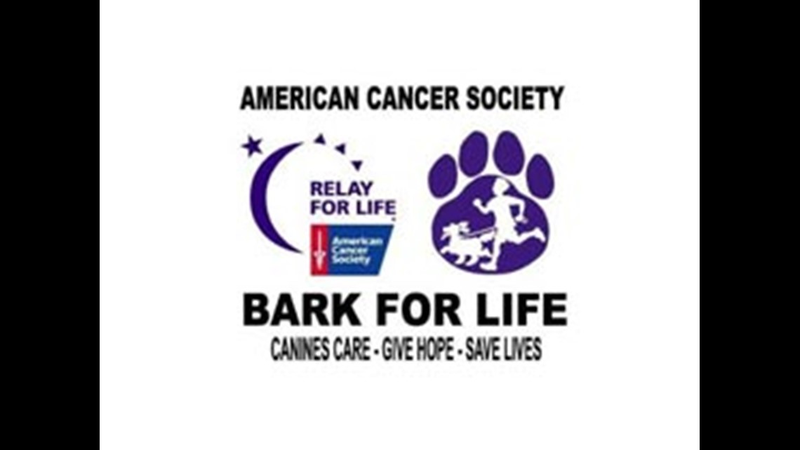 'Bark For Life' Raises Money For Cancer | 10tv.com