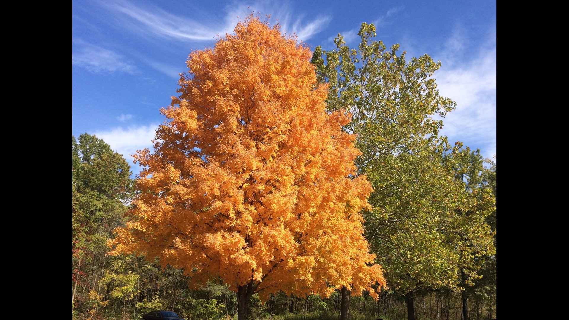 Fall Foliage Report: Colors starting to change more in central Ohio ...