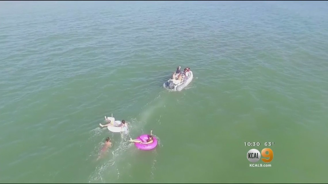 Boat pulling people on floats comes dangerously close to sharks | 10tv.com