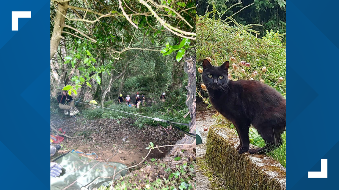 Angela An | WBNS-10TV News Anchor | 10tv.com