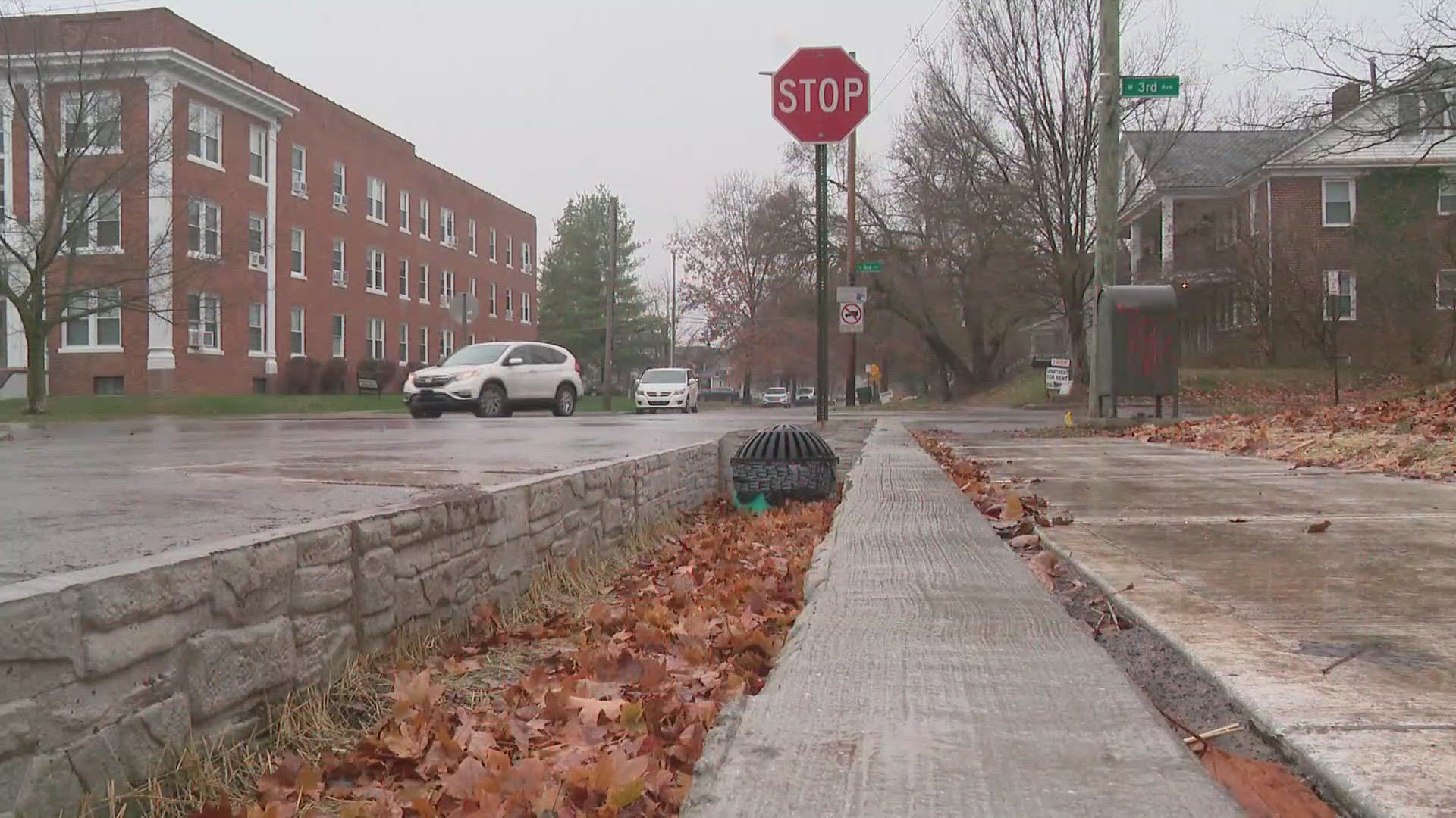 Columbus invests $140 million into rain gardens to address stormwater ...