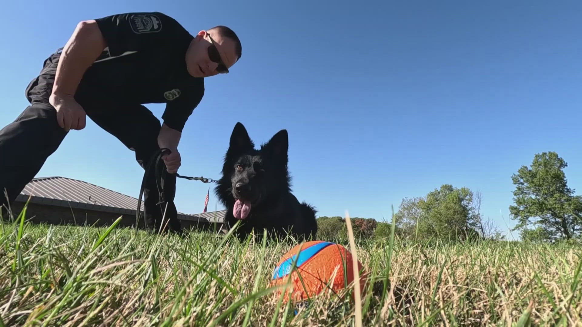 Marysville police canines train to tackle crime | 10tv.com