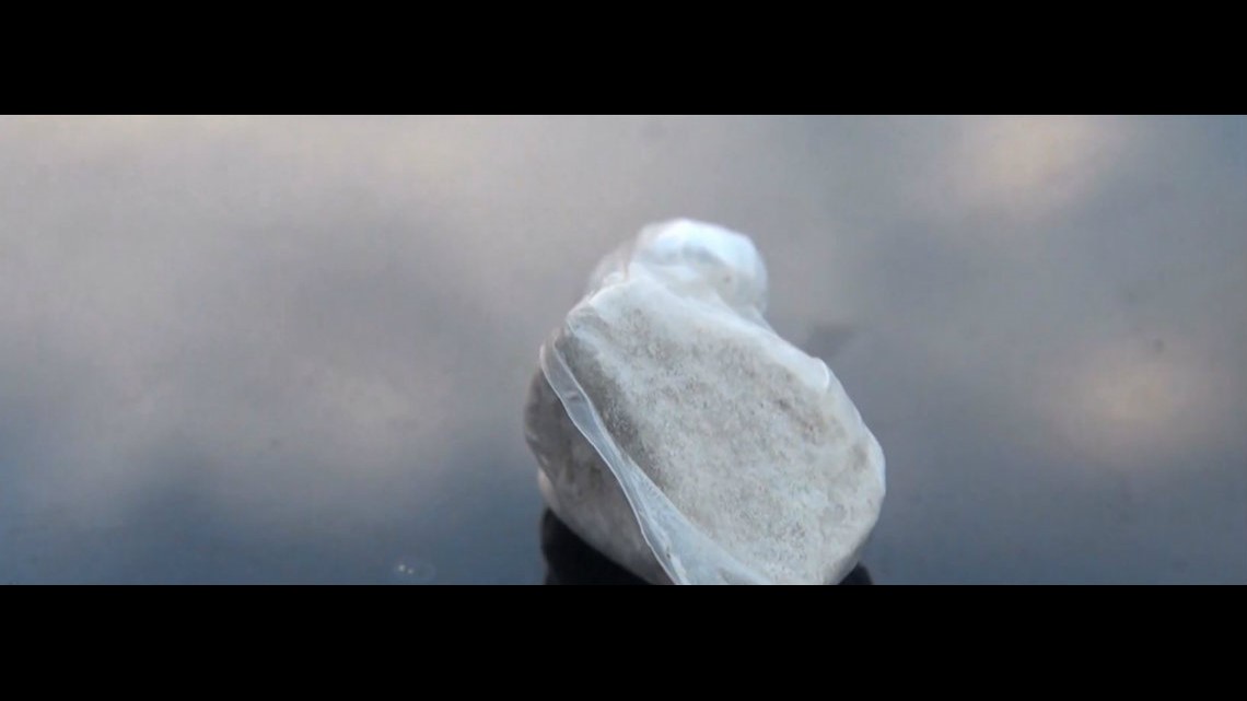 Officials slow to warn public as elephant tranquilizer was being sold ...