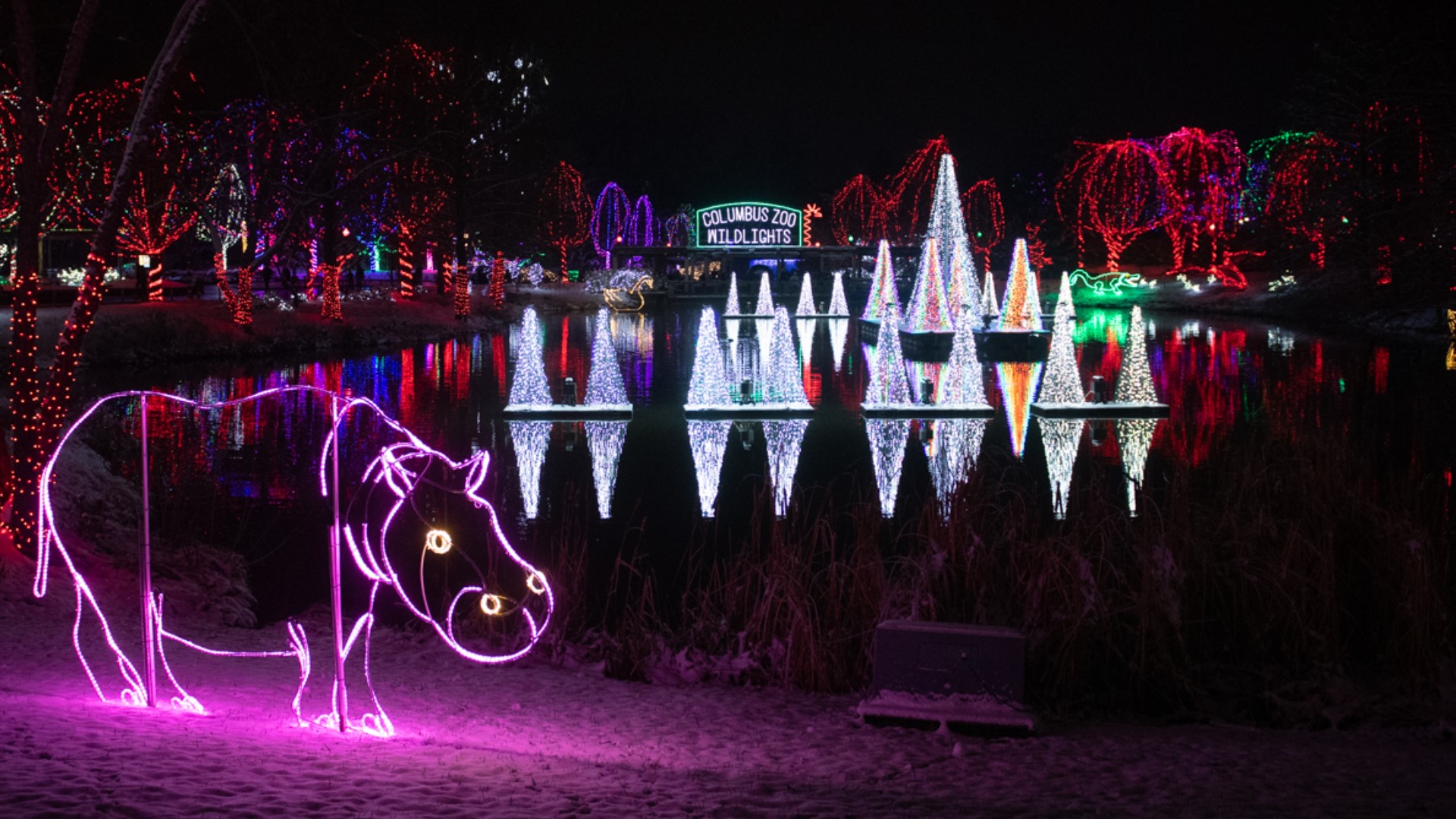 Sensory-friendly stroll for at the Columbus Zoo and Aquarium | 10tv.com