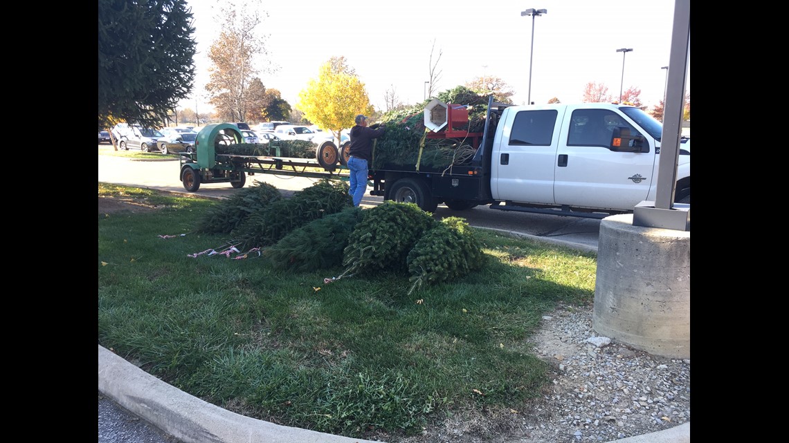 Operation Evergreen: Delivering trees to troops | 10tv.com