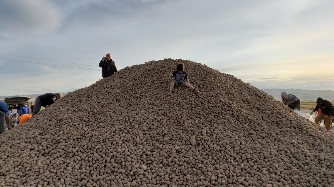 Idaho farm gave away potatoes for free so they wouldn't go to waste ...