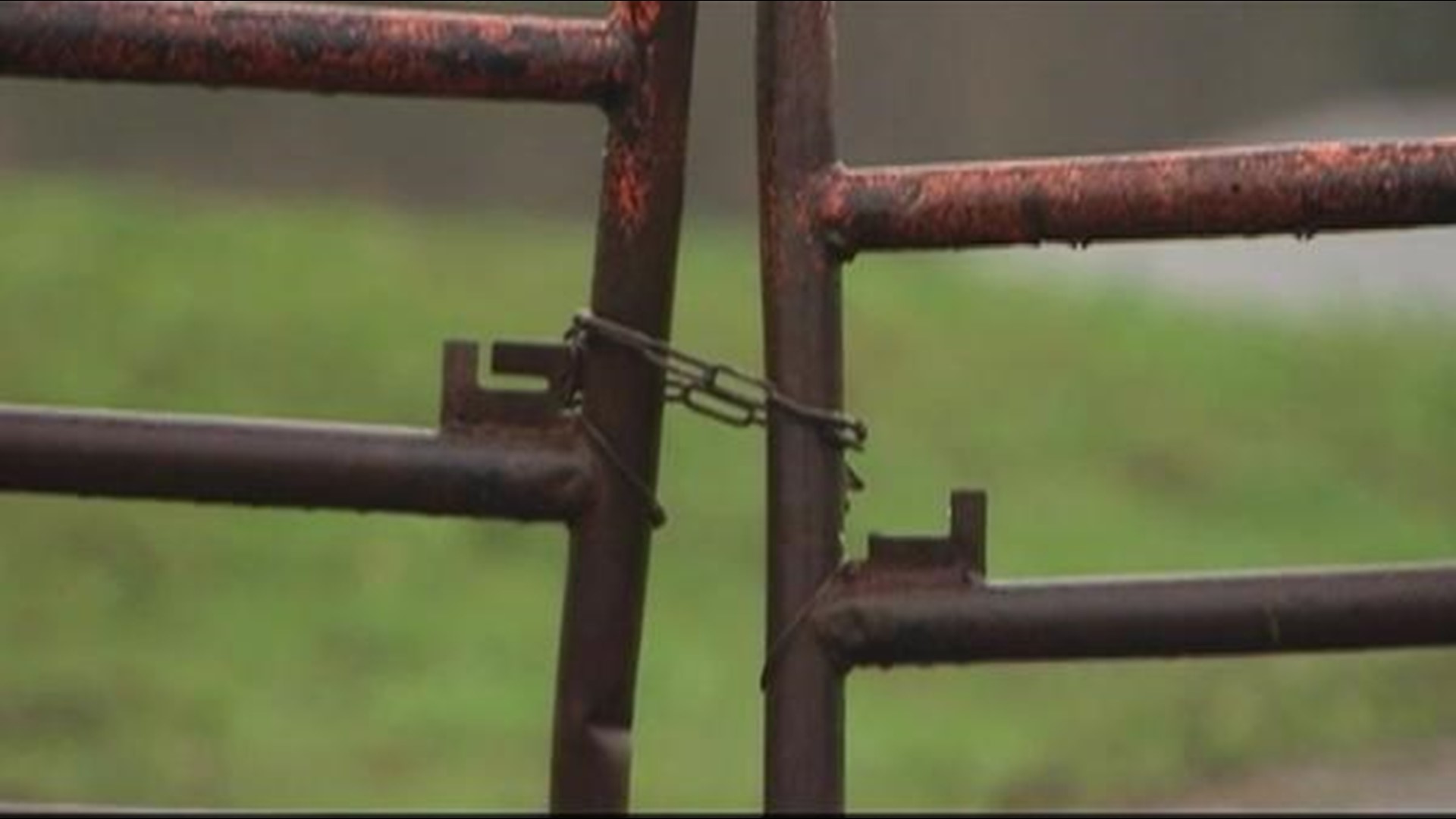 Report: Zanesville Man 'Distraught' Before Releasing Exotic Animals ...